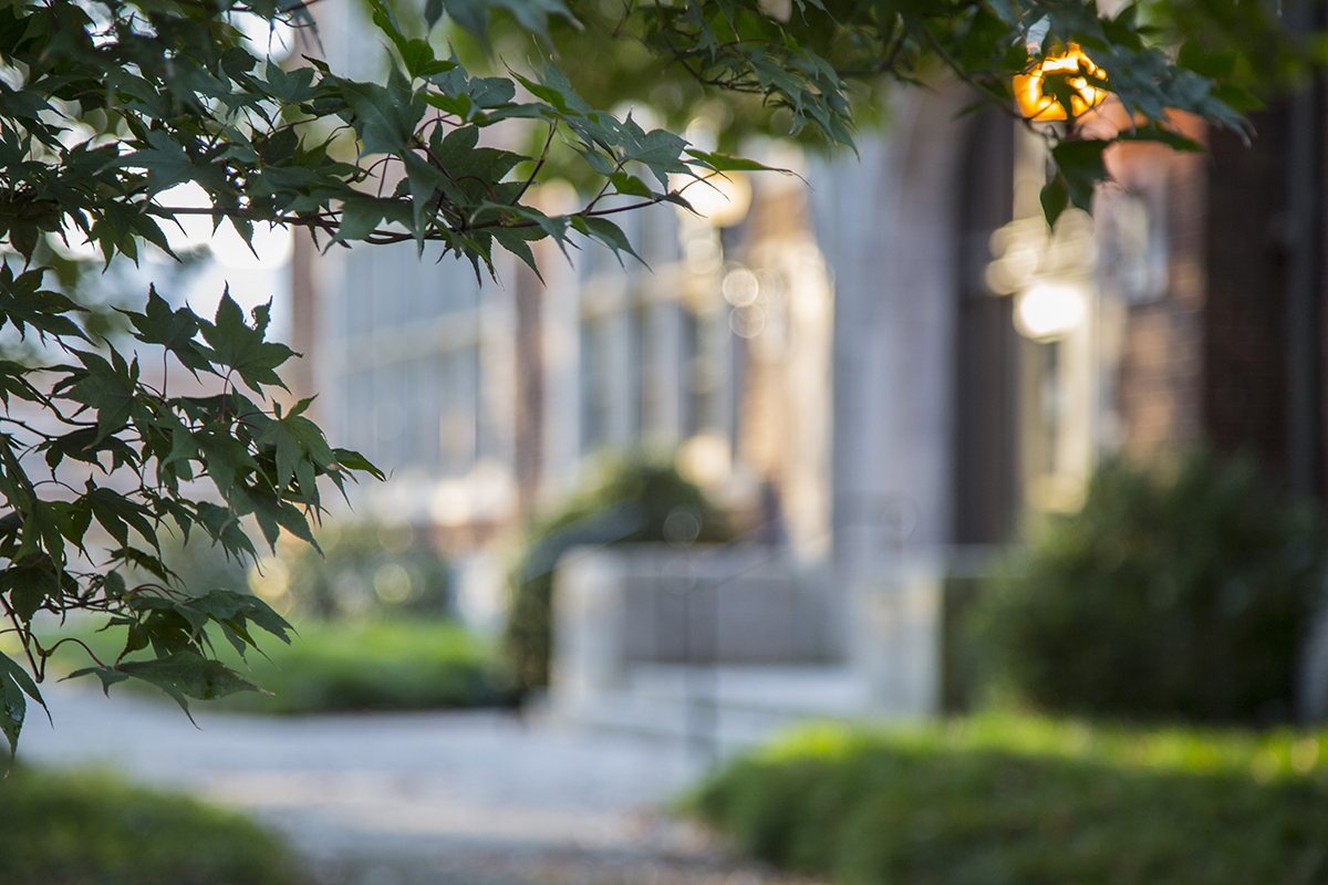 Our Institute | UTIA