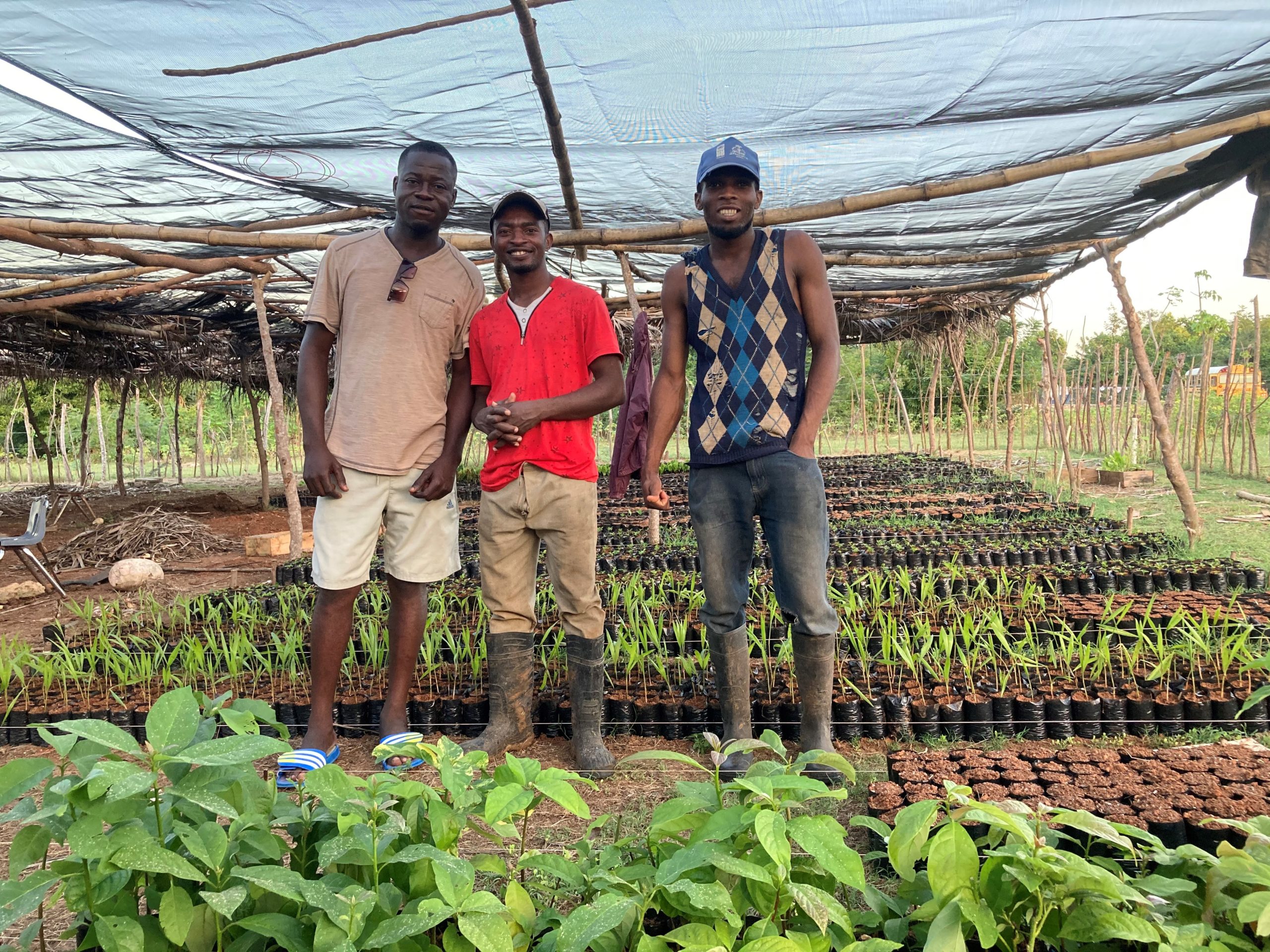 Haiti Ministere Agriculture