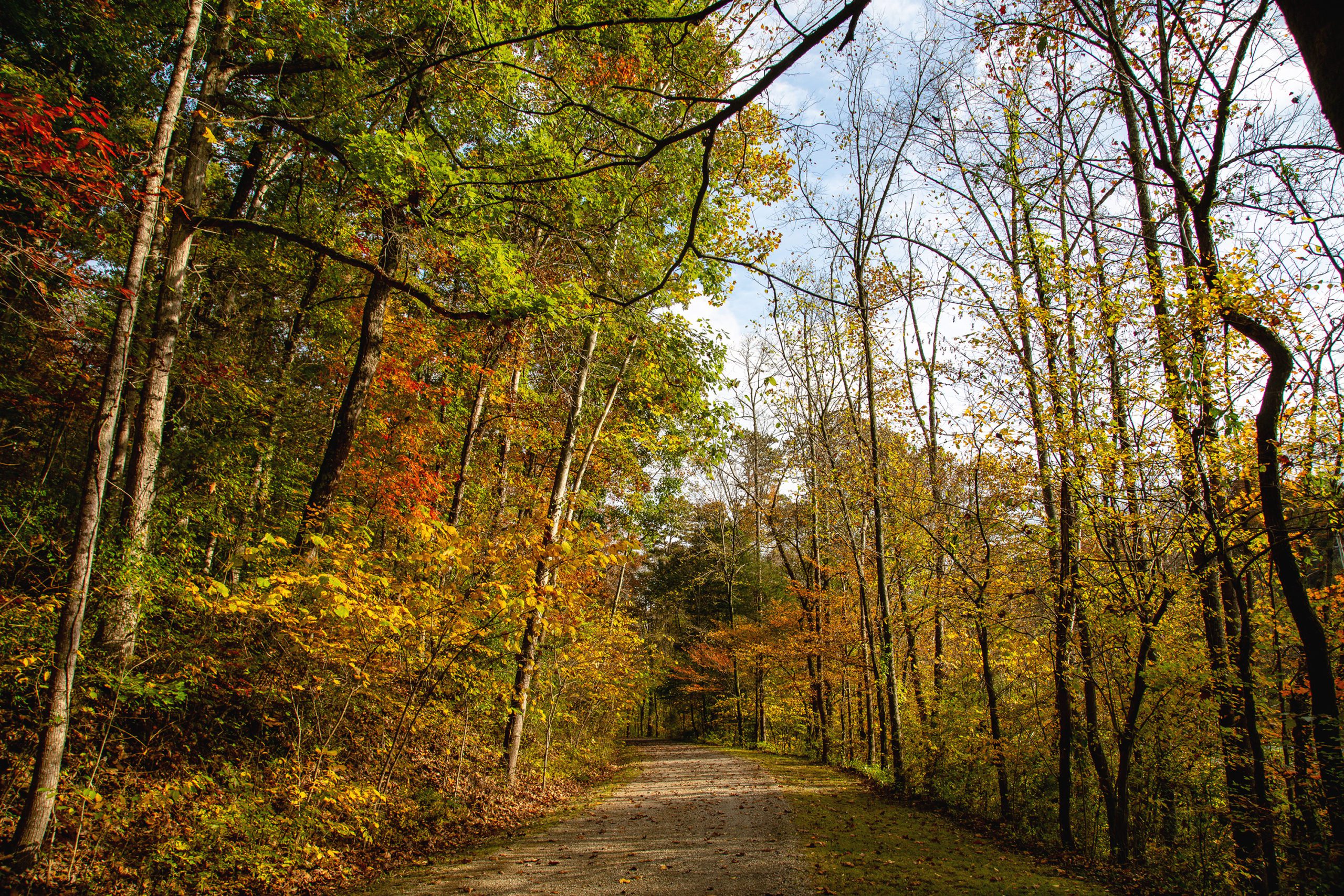 Institute of Agriculture | UTIA