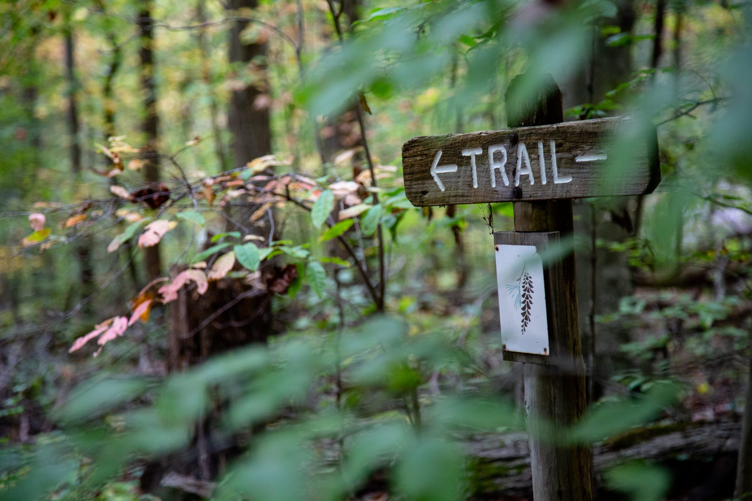 Institute of Agriculture | UTIA