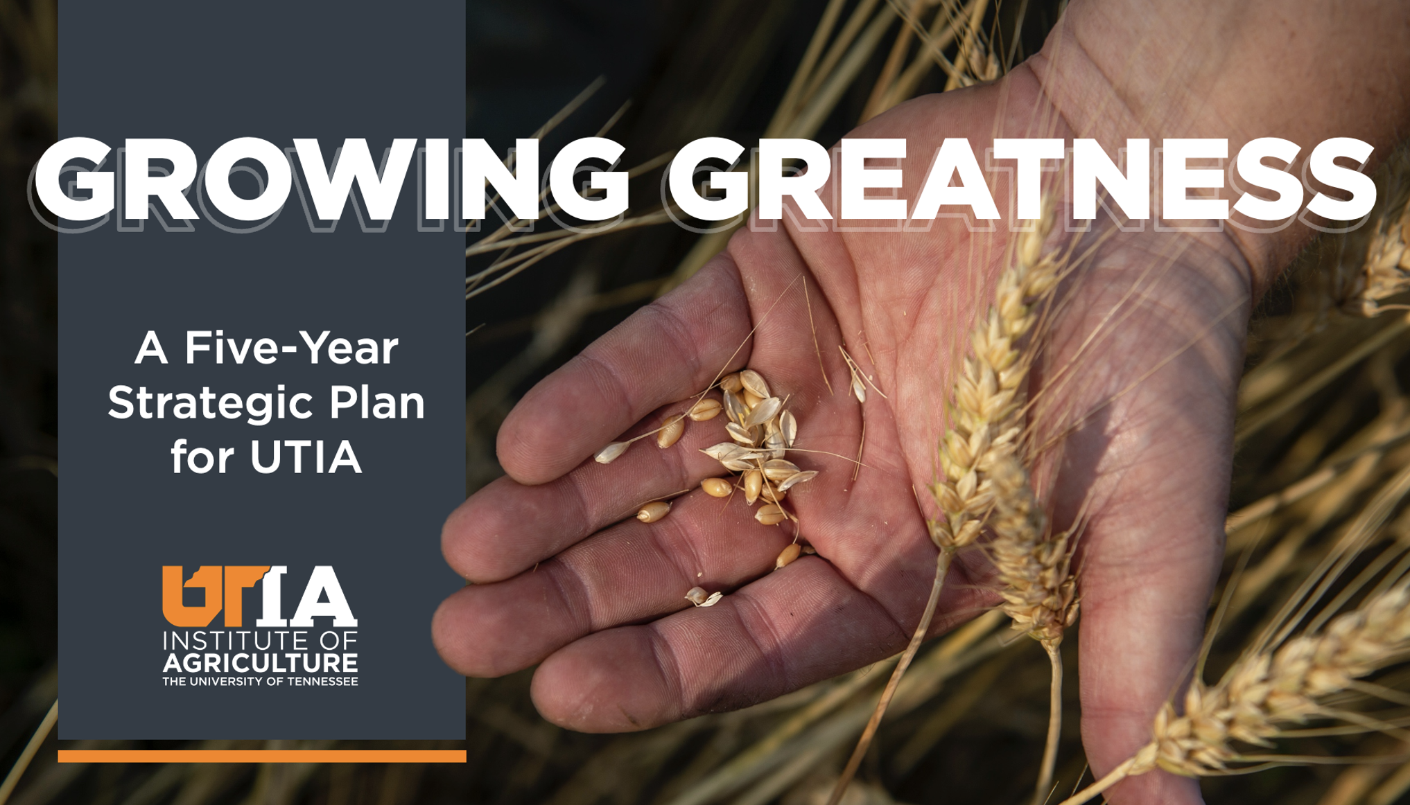 Institute of Agriculture | UTIA