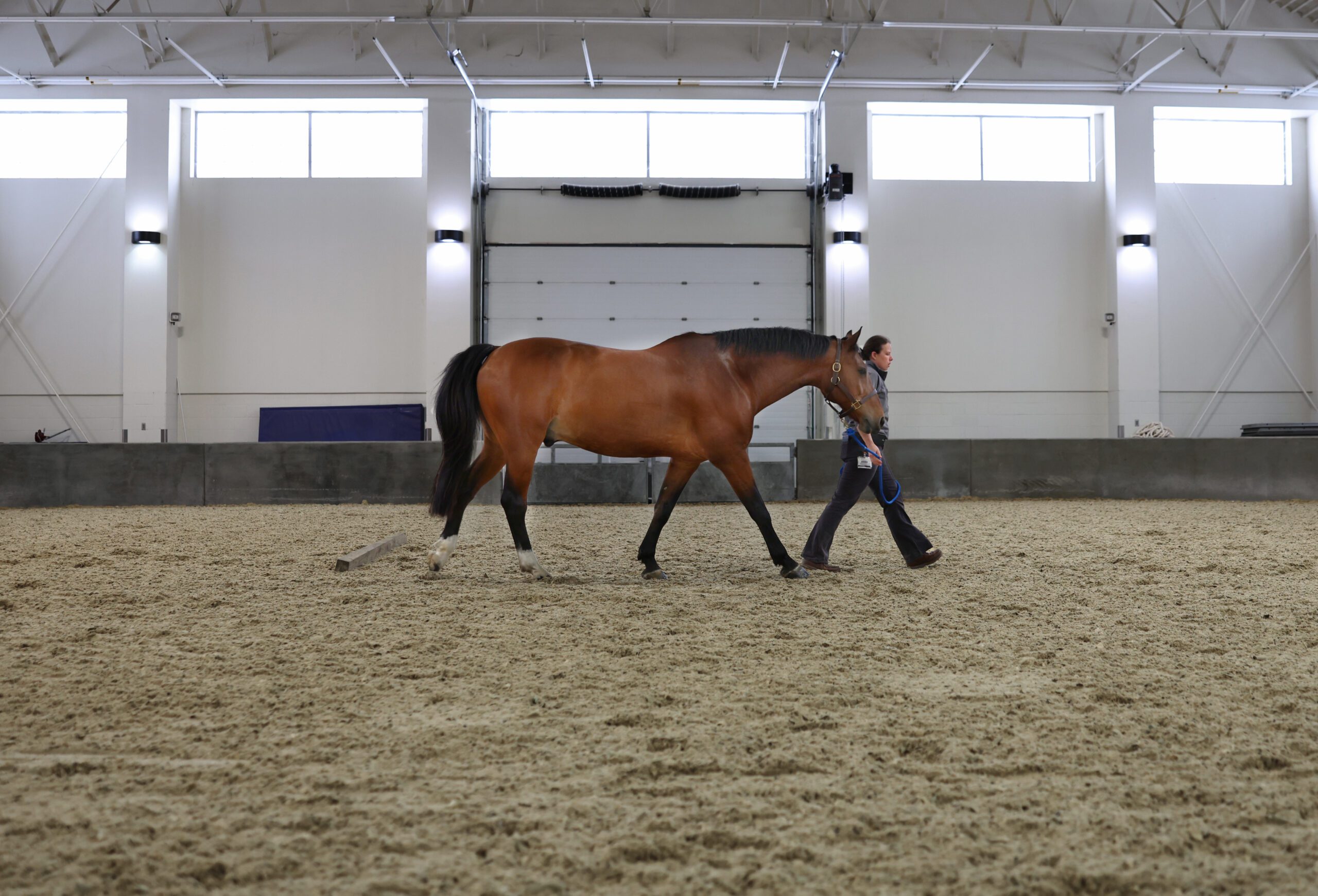 Institute of Agriculture | UTIA