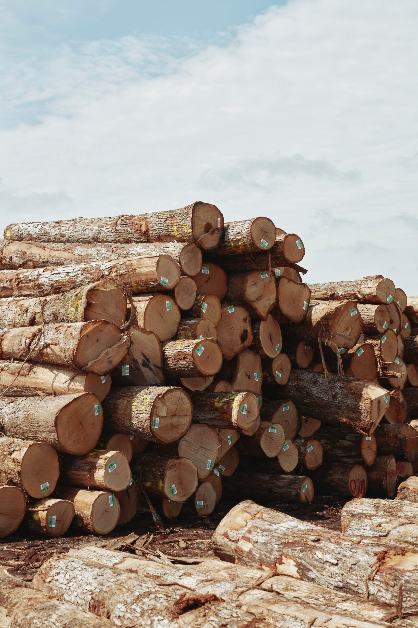 Institute of Agriculture | UTIA