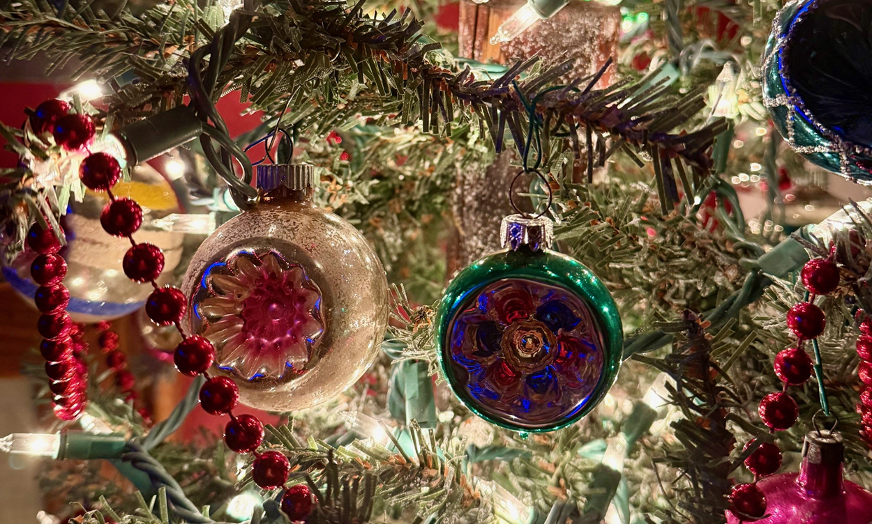 Institute of Agriculture | UTIA